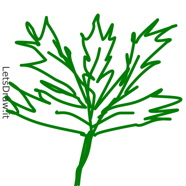 How to draw marijuana / tdzicnzoo.png / LetsDrawIt