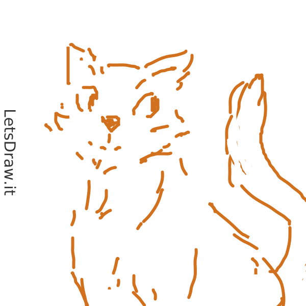 How to draw cat / ti51tnee4.png / LetsDrawIt