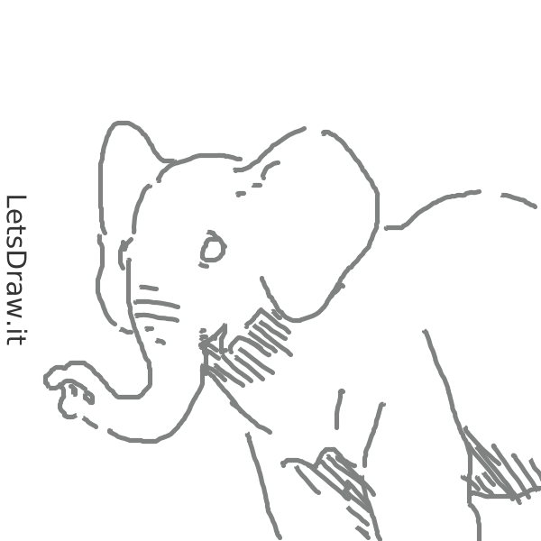 How to draw Elephants / tnejko3c1.png / LetsDrawIt