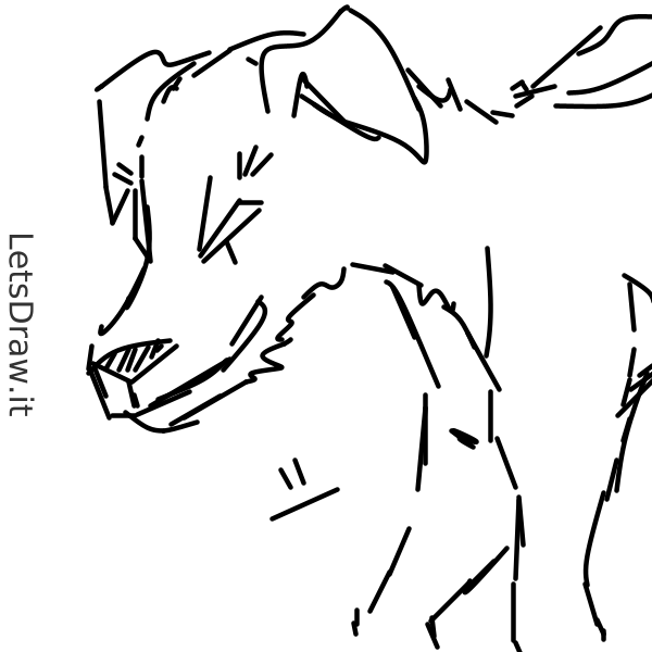 How to draw animal / to5ynzyze.png / LetsDrawIt