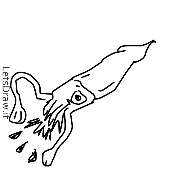 How to draw squid / tp6og7e7.png / LetsDrawIt
