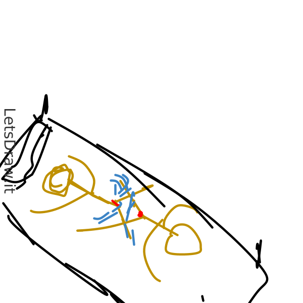 How to draw scissors / tpnx8mgp9.png / LetsDrawIt