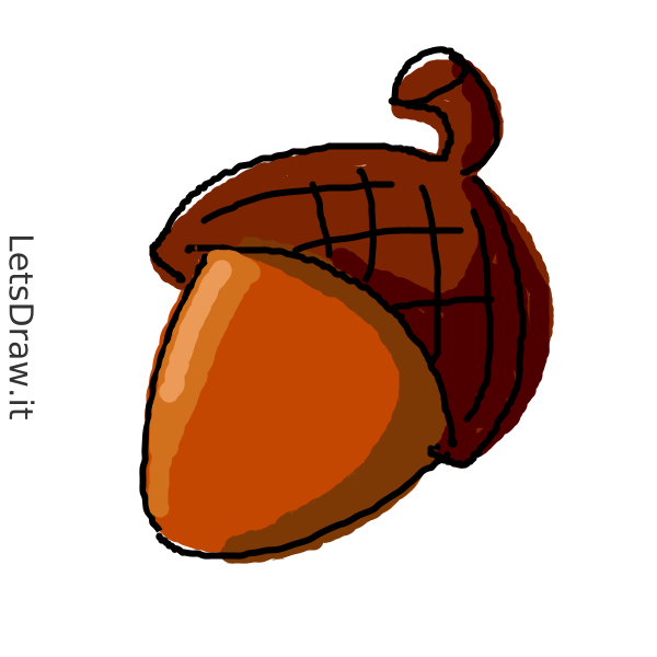 How to draw nut / tqwits1c3.png / LetsDrawIt