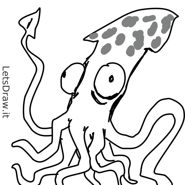 How to draw Squid / trw1d9h9j.png / LetsDrawIt