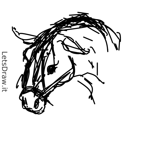 How to draw animal / twbcc8bbx.png / LetsDrawIt