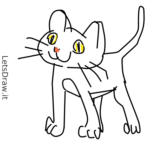 How to draw cat / u1zyxwio.png / LetsDrawIt