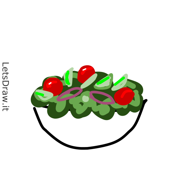 How to draw salad / u4zg8rhm.png / LetsDrawIt