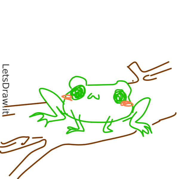 How to draw tree-frog / u55qptsxt.png / LetsDrawIt