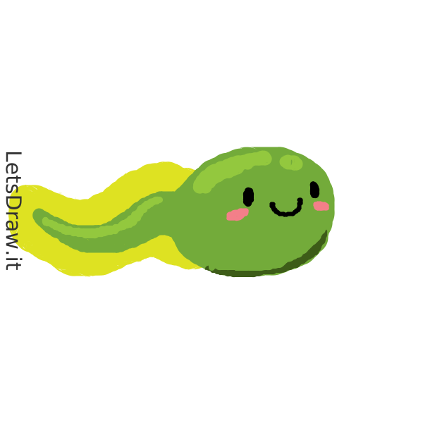 How to draw tadpole / LetsDrawIt