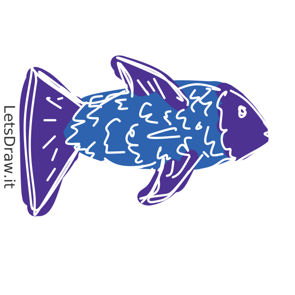 How to draw fish / u6t3dikso.png / LetsDrawIt