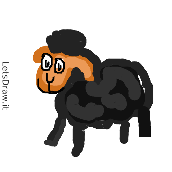 How to draw black sheep / u8ueqnmzh.png / LetsDrawIt