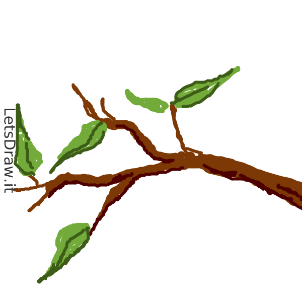 How to draw branch / uawgokts8.png / LetsDrawIt