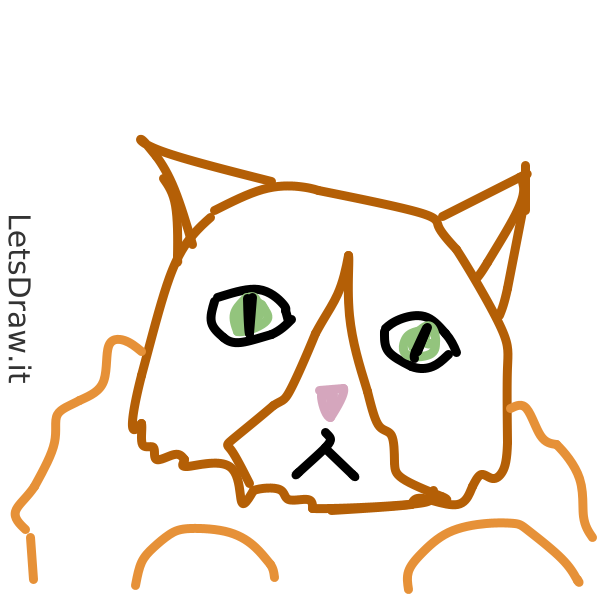 How to draw cat / udm38tiyn.png / LetsDrawIt