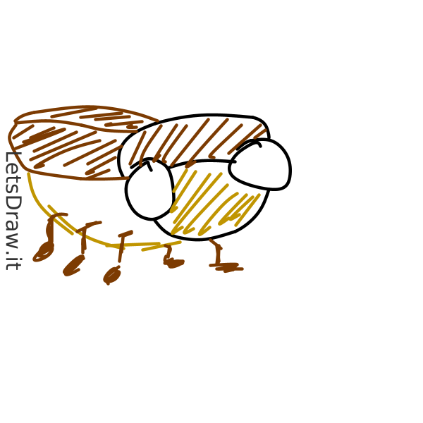 How to draw cockroach / udrbpmc6u.png / LetsDrawIt