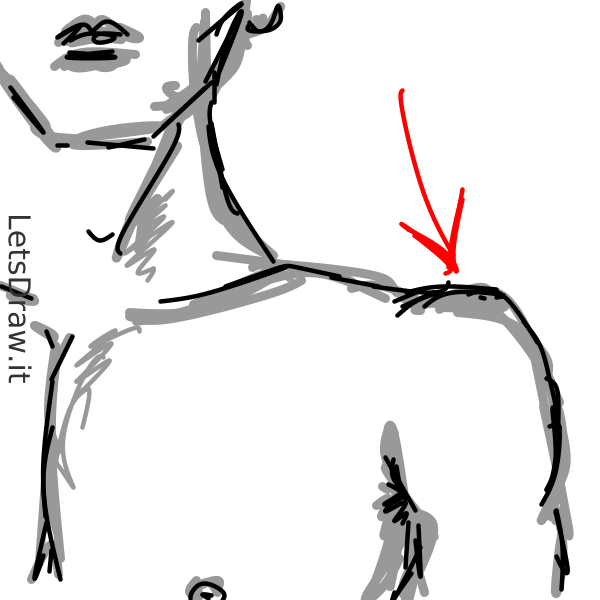How to draw shoulder / ue5o8mybk.png / LetsDrawIt