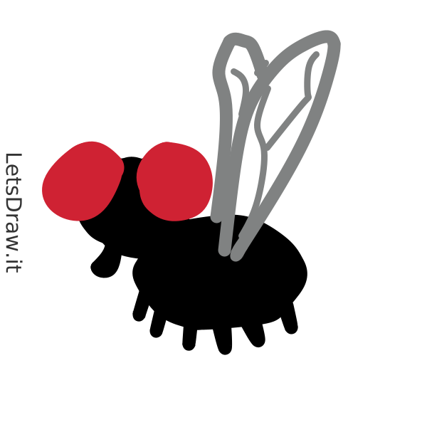 How to draw fly / ufjabf774.png / LetsDrawIt
