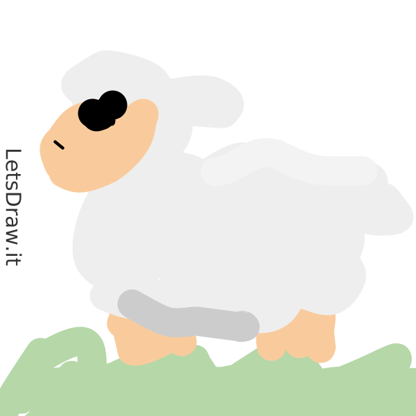 How to draw sheep / uhs8fz3wq.png / LetsDrawIt