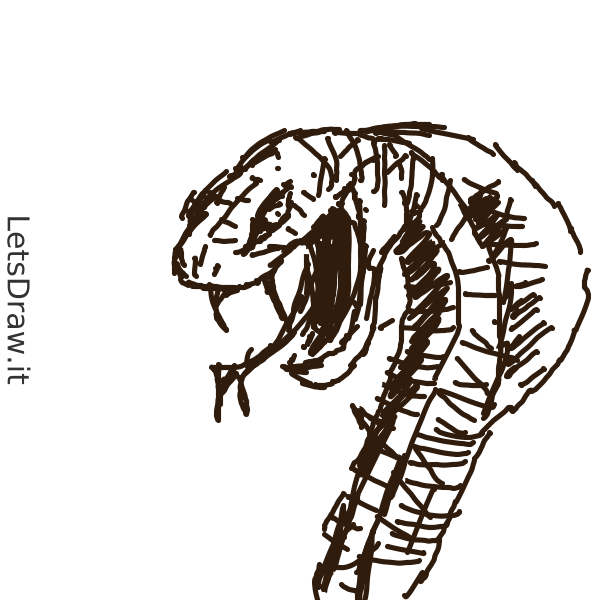 How to draw cobra / ui1bedysf.png / LetsDrawIt