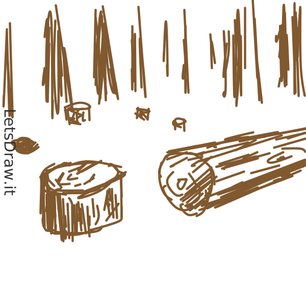 How to draw wood / uk6sbqz7u.png / LetsDrawIt