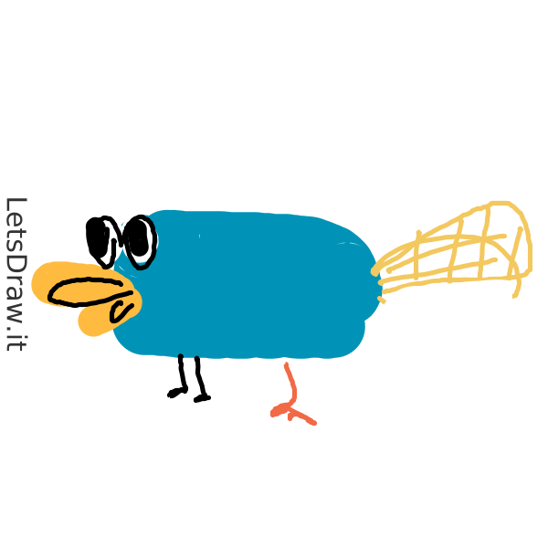 How to draw platypus / unk7oewi1.png / LetsDrawIt
