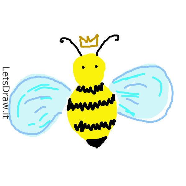 How to draw queen bee / usaat5t88.png / LetsDrawIt