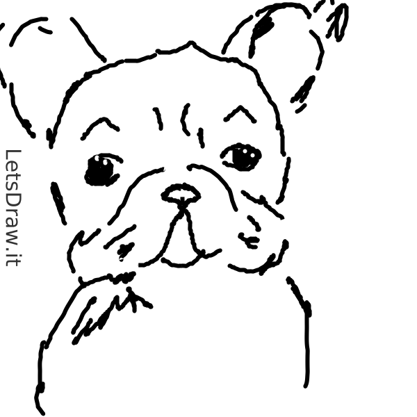 How to draw animal / uth8tdi8u.png / LetsDrawIt