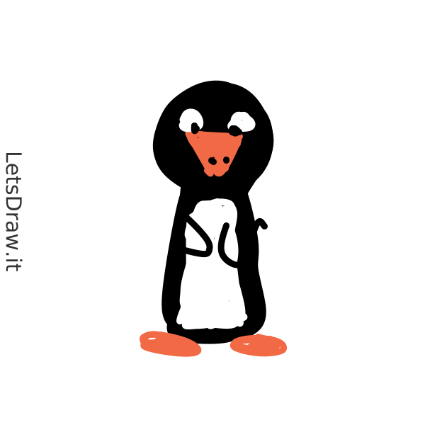 How to draw penguin / uu5pnjb6z.png / LetsDrawIt