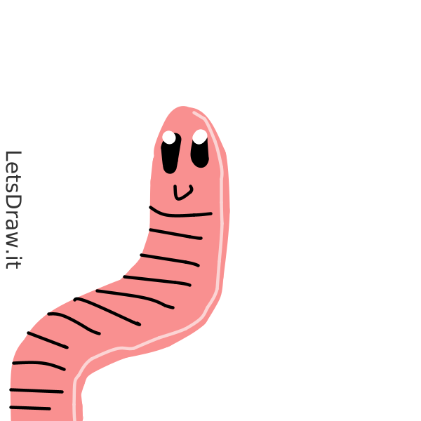 How to draw earthworm / LetsDrawIt