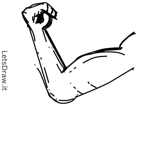 How to draw elbow / w4mbngwcc.png / LetsDrawIt