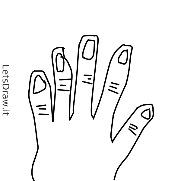 How to draw fingers / w6ntf7uip.png / LetsDrawIt