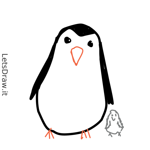 How to draw penguin / w6wtxxj7.png / LetsDrawIt