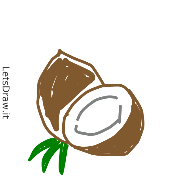 How to draw coconut / w9subexn6.png / LetsDrawIt