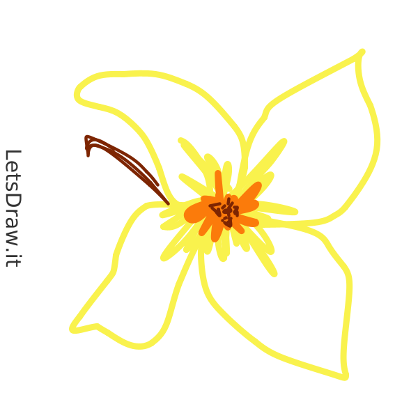 How to draw vanilla / wb3okf776.png / LetsDrawIt