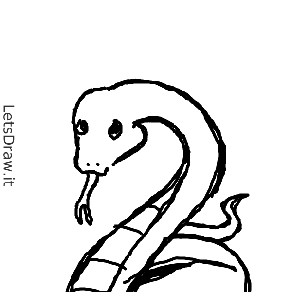 How to draw snake / LetsDrawIt
