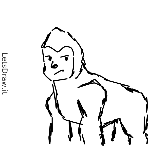 How to draw ape / wf7op846z.png / LetsDrawIt