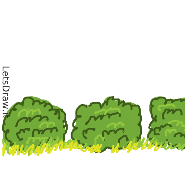 How to draw Bushes / wf9fxwac5.png / LetsDrawIt