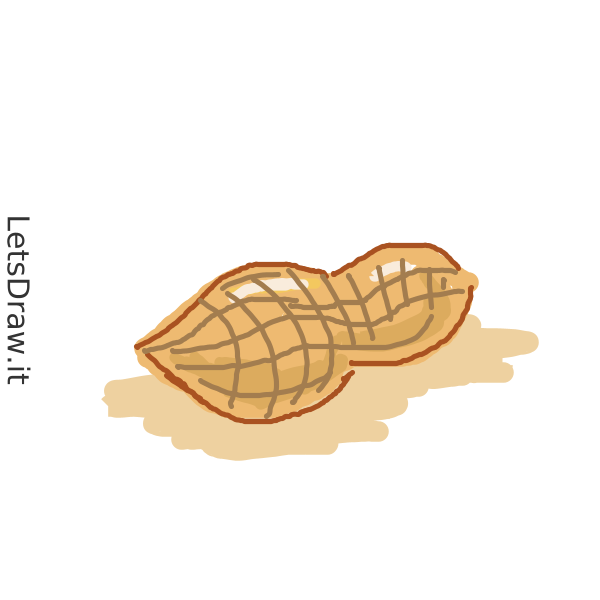 How to draw peanuts / wff58tdr7.png / LetsDrawIt