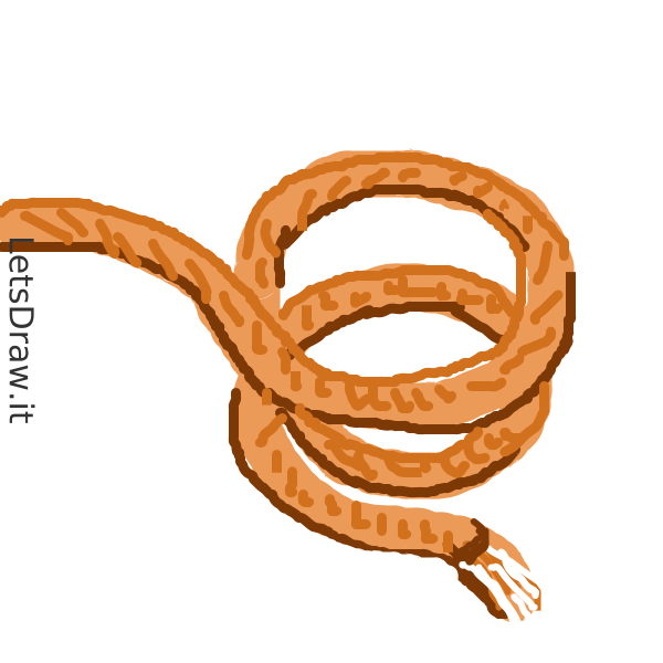 How to draw rope / wkhuo3agr.png / LetsDrawIt