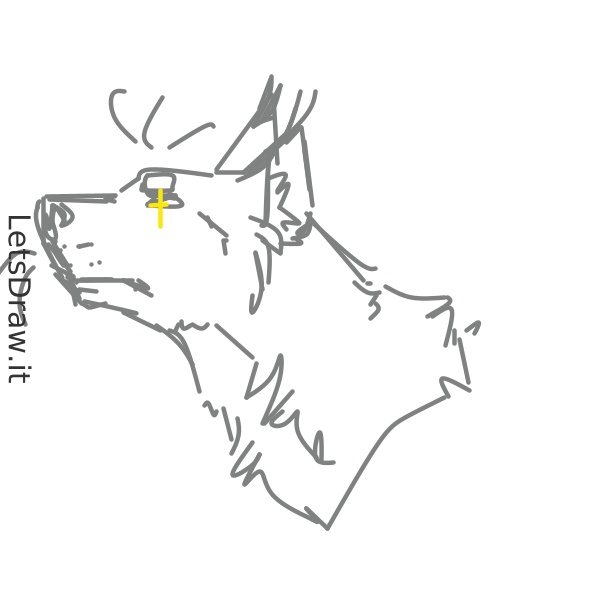 How to draw animal / wxk57o69.png / LetsDrawIt