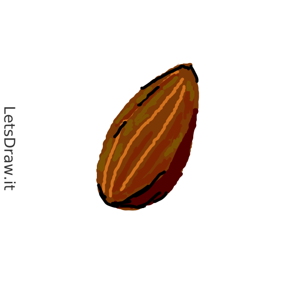 How to draw almond / wxsrtrjph.png / LetsDrawIt