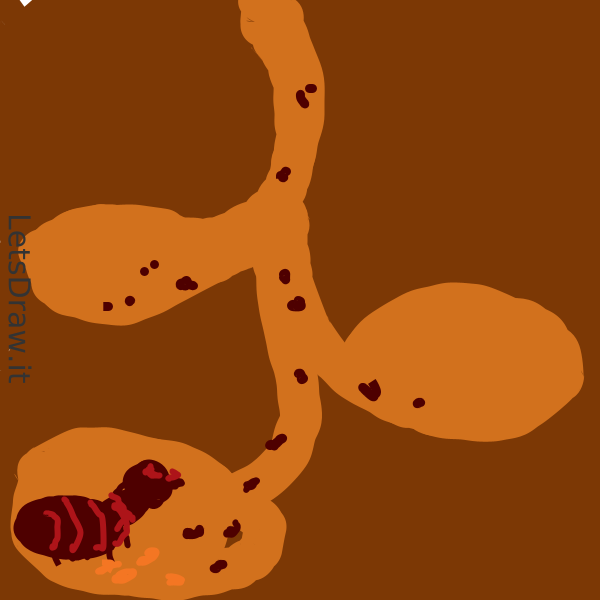 How to draw anthill / wyxstxzou.png / LetsDrawIt