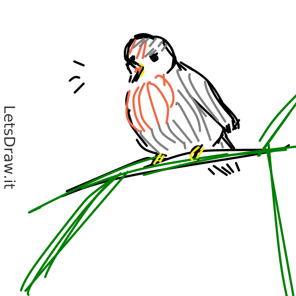 Bird On A Branch Drawing Simple