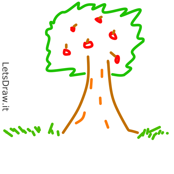 How to draw apple tree / x1dgcowgk.png / LetsDrawIt