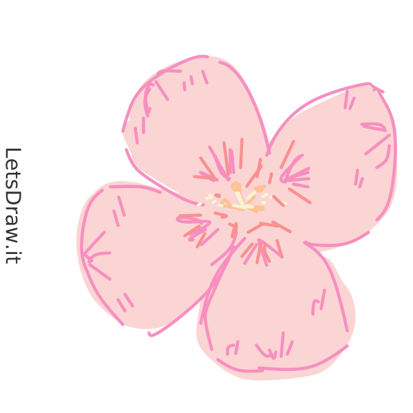 How to draw Sakura / x1w7m8h9b.png / LetsDrawIt