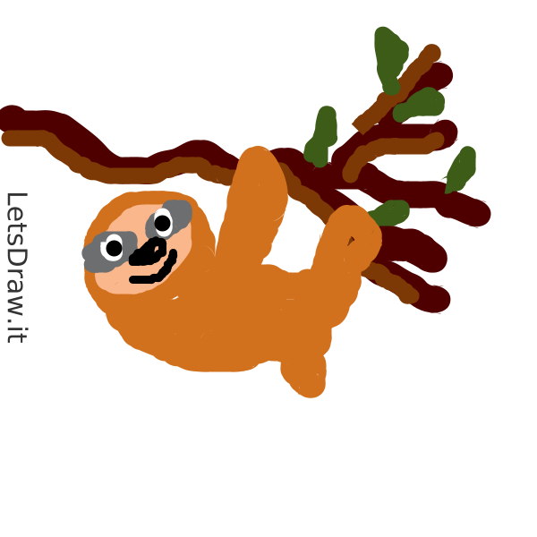 How to draw sloth / x3bkqwipp.png / LetsDrawIt