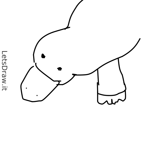 How to draw platypus / LetsDrawIt