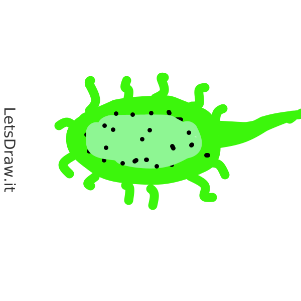 How to draw bacteria / x4j4cdddq.png / LetsDrawIt