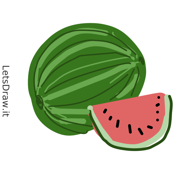 How to draw watermelon / x4q7edjgh.png / LetsDrawIt