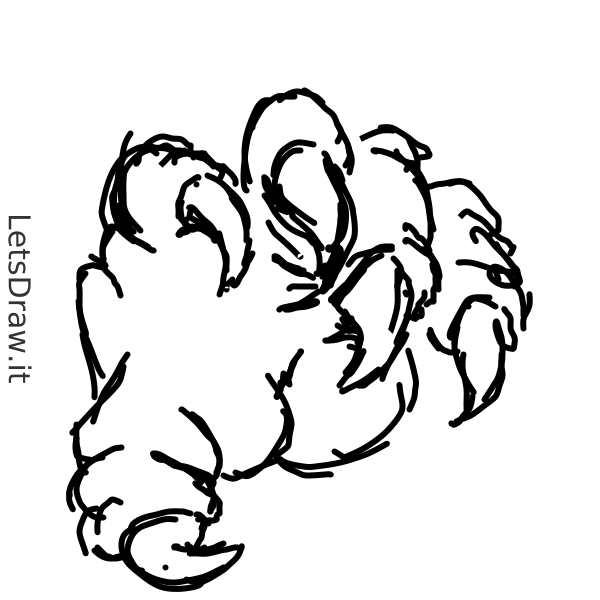 How to draw claw / x83hxpscr.png / LetsDrawIt