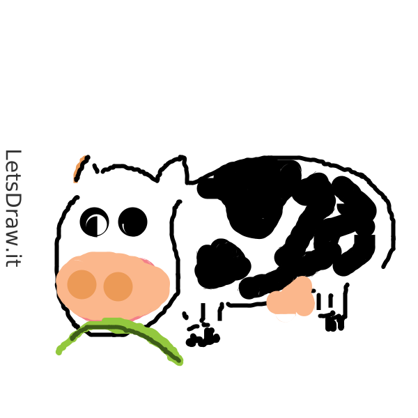 How to draw cows / x8enocjjt.png / LetsDrawIt